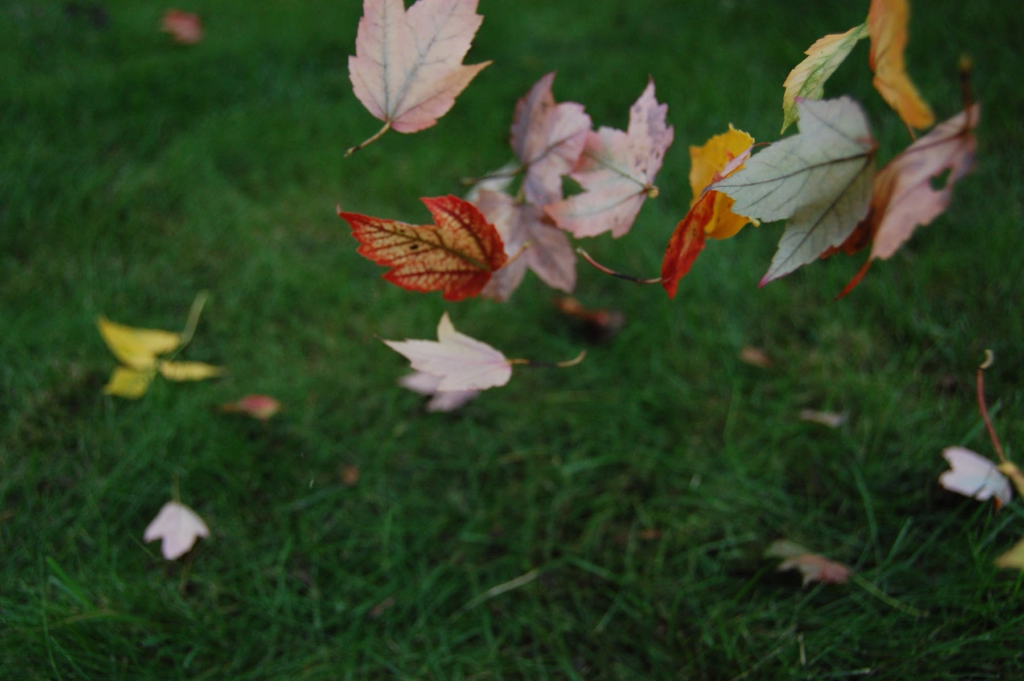 10 Ways to Get Excited for Autumn – Born To Be Bright